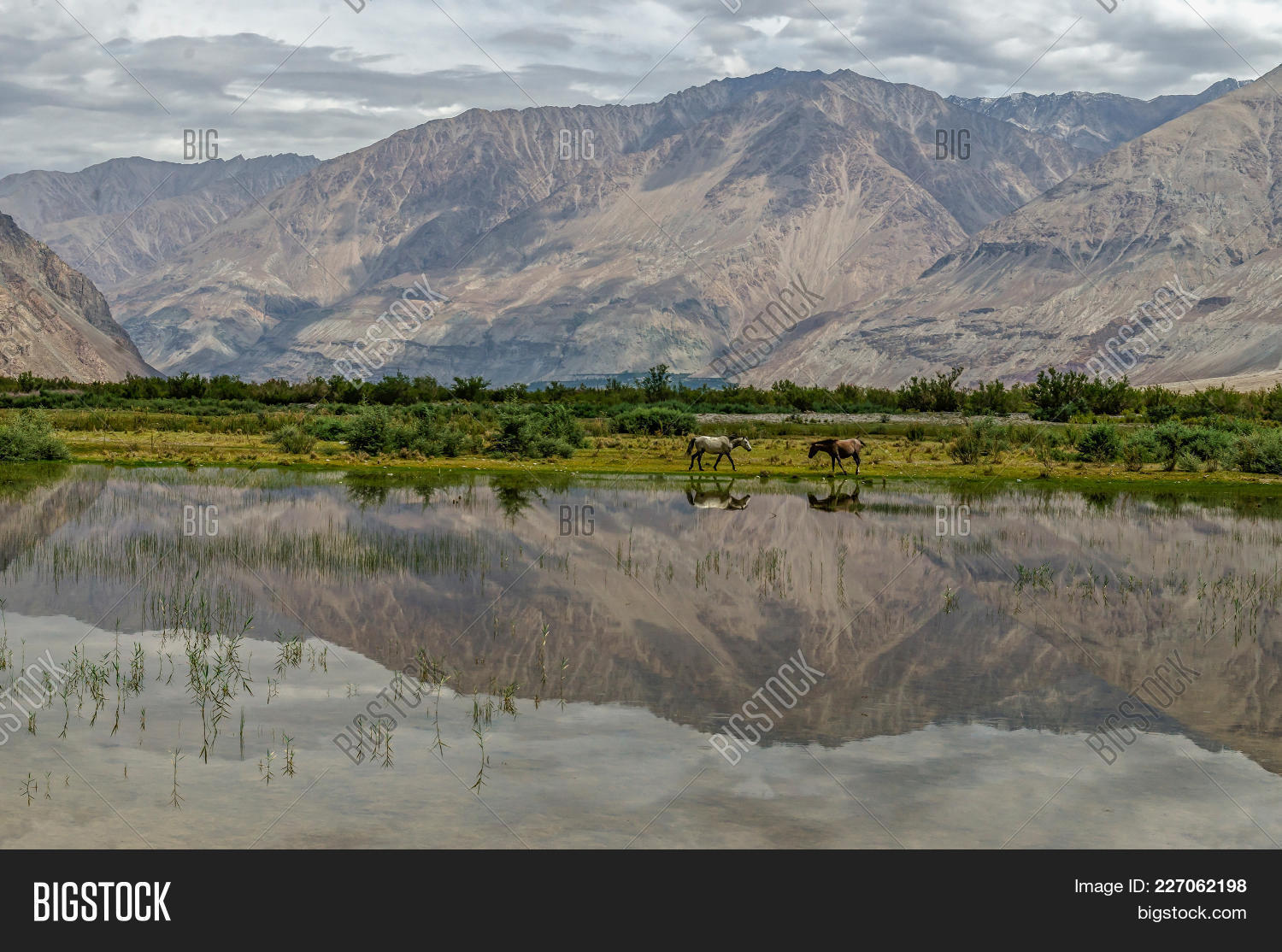 Shyok River Flows Way Image & Photo (Free Trial) | Bigstock