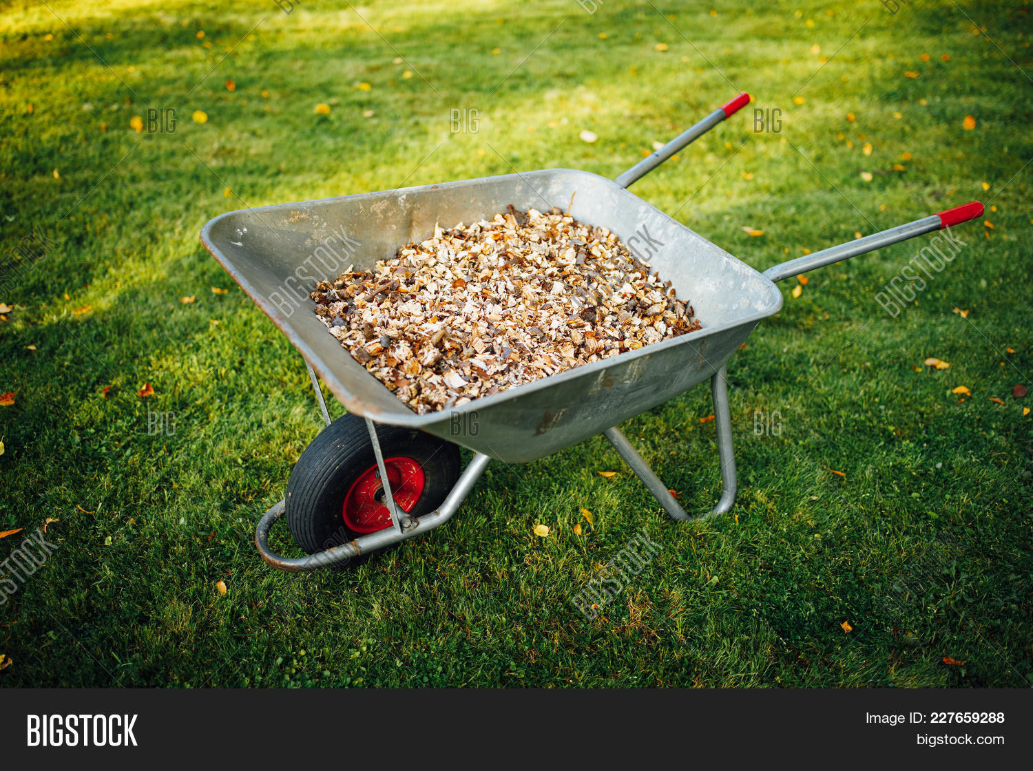 Wheelbarrow Full Image & Photo (Free Trial) | Bigstock