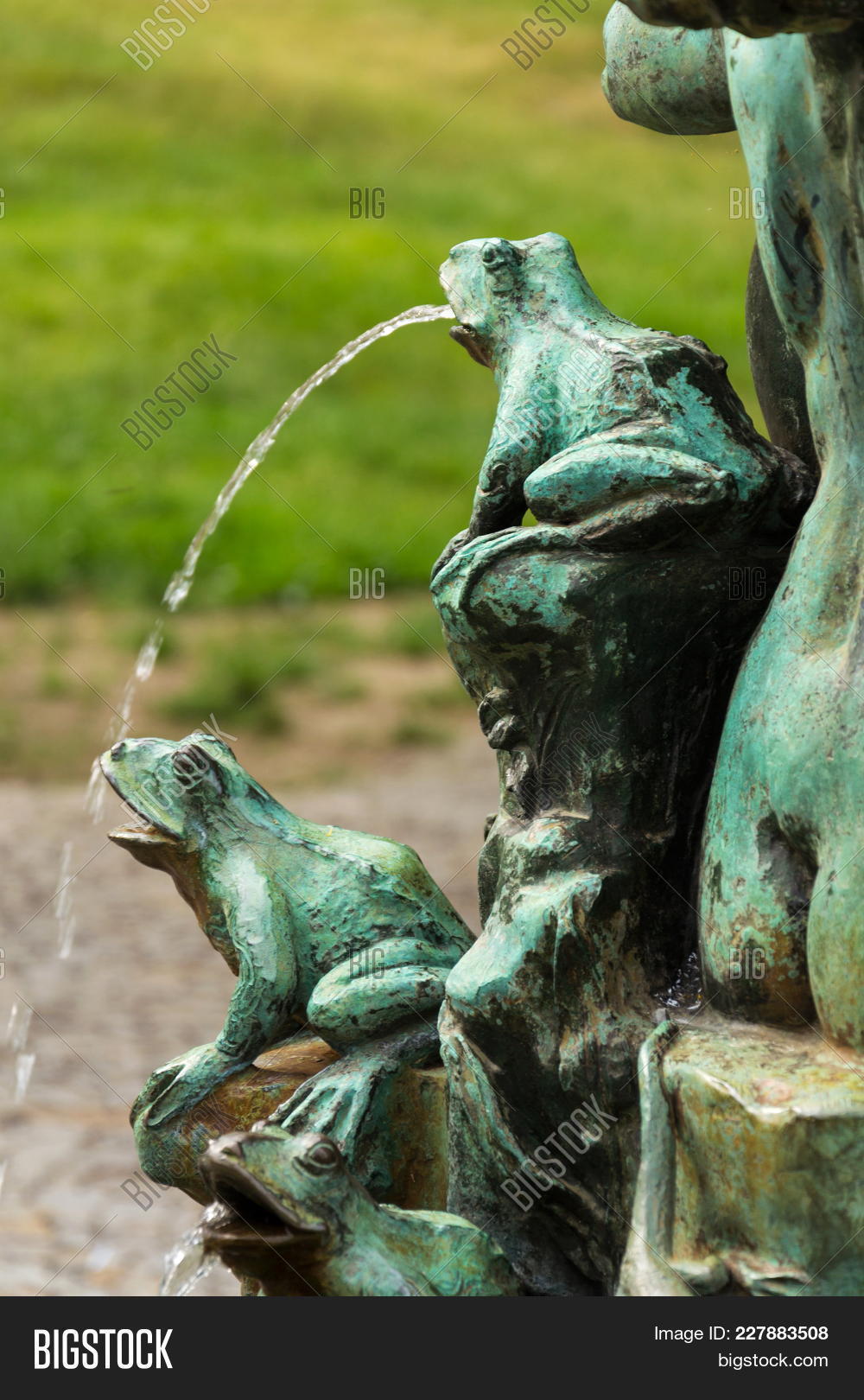 Frog Splashing Water Image & Photo (Free Trial) | Bigstock