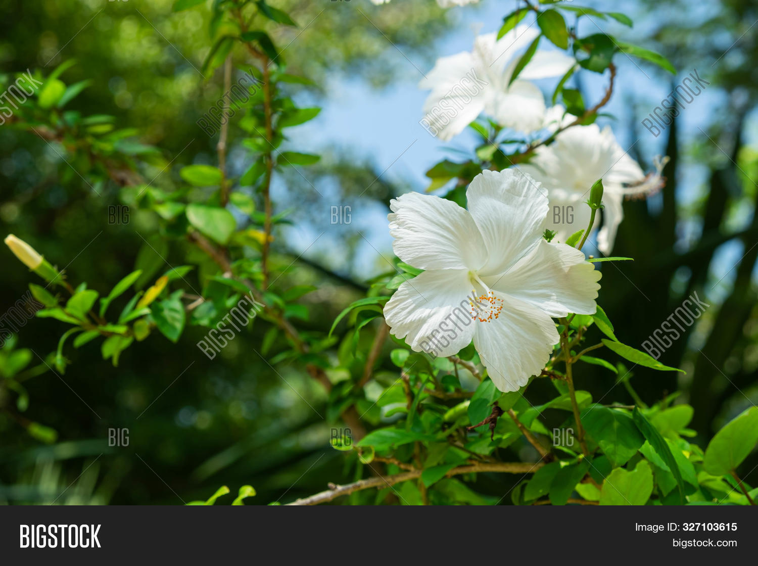 Good Weather Beautiful Image & Photo (Free Trial) | Bigstock