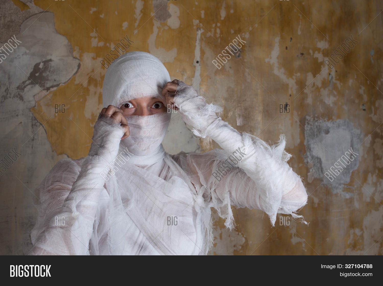 Halloween Image, Mummy Image & Photo (Free Trial) | Bigstock