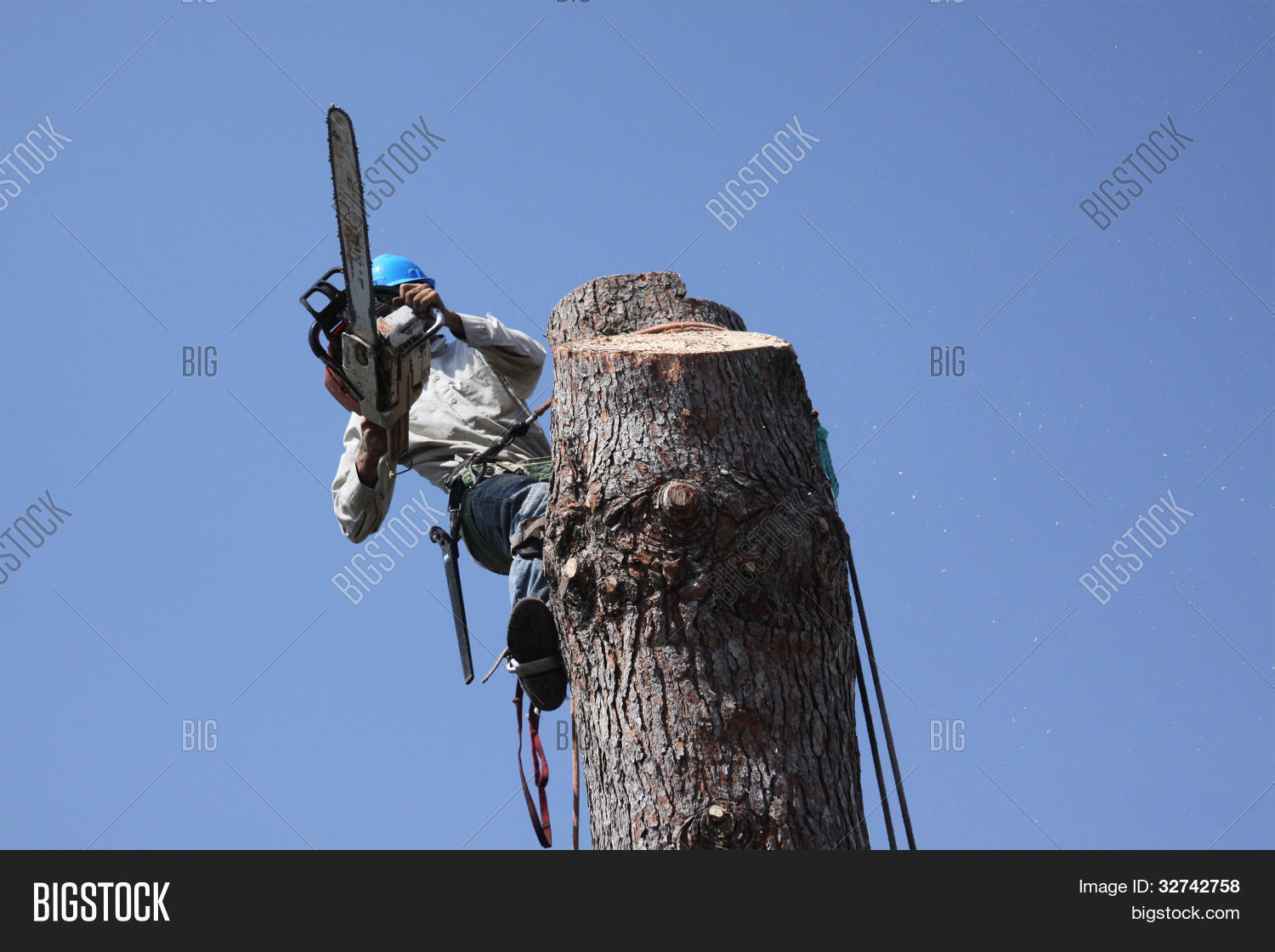 Cutting Down Tree Image & Photo (Free Trial) | Bigstock