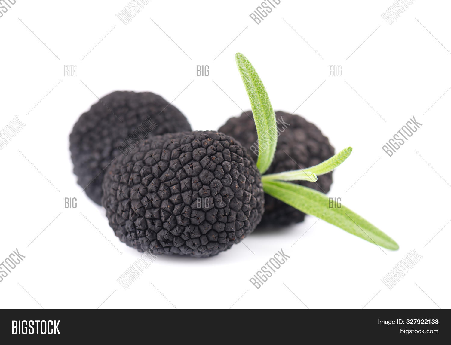 Black Truffles Image & Photo (Free Trial) | Bigstock