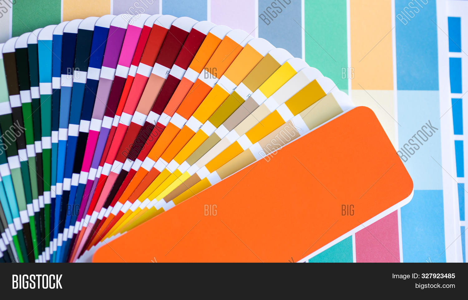 Color Swatches Graphic Image & Photo (Free Trial) | Bigstock