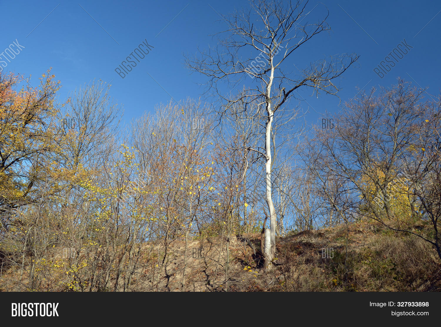 Earthen Rampart Image & Photo (Free Trial) | Bigstock