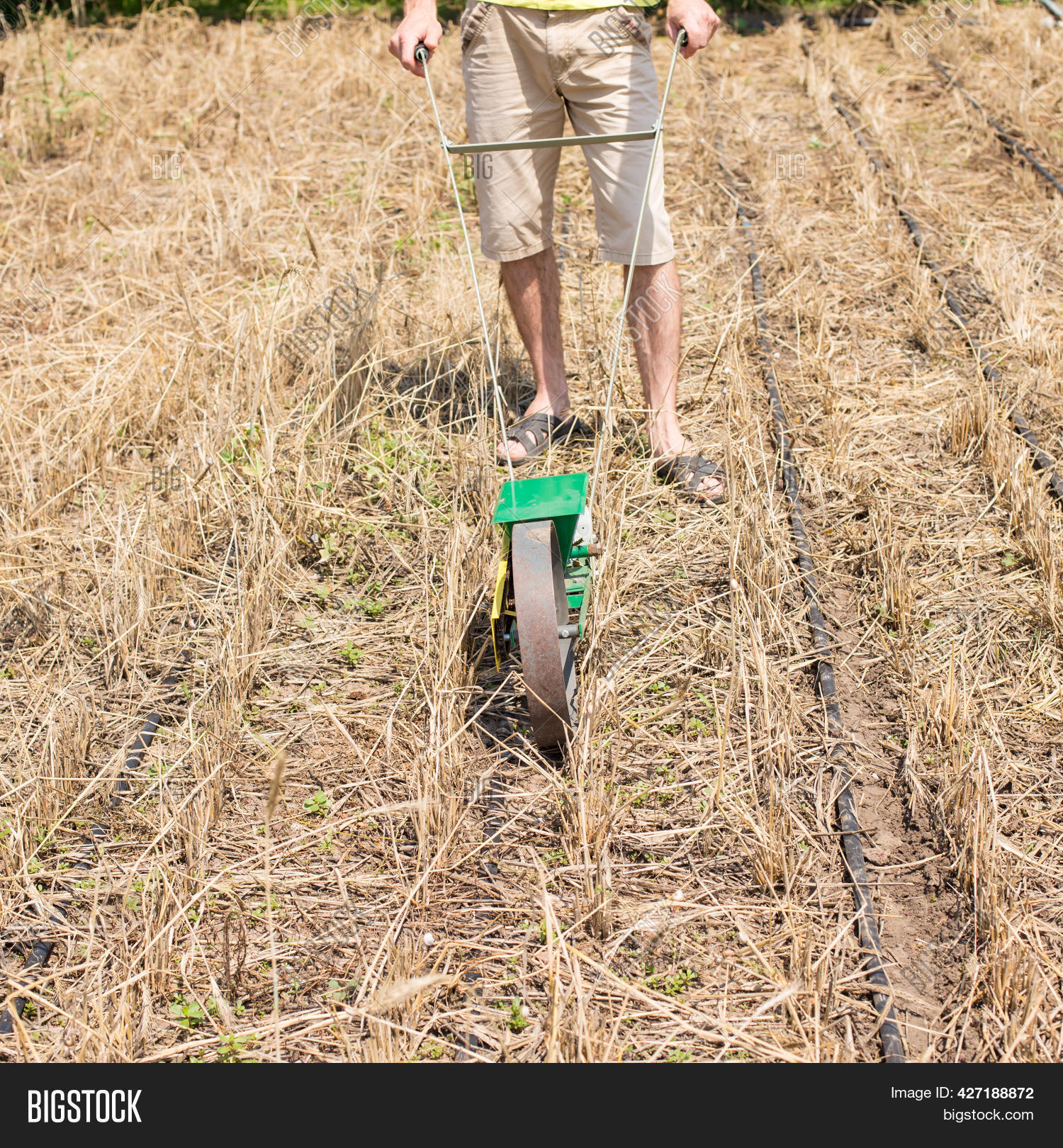 Man Seeding Covering Image & Photo (Free Trial) | Bigstock