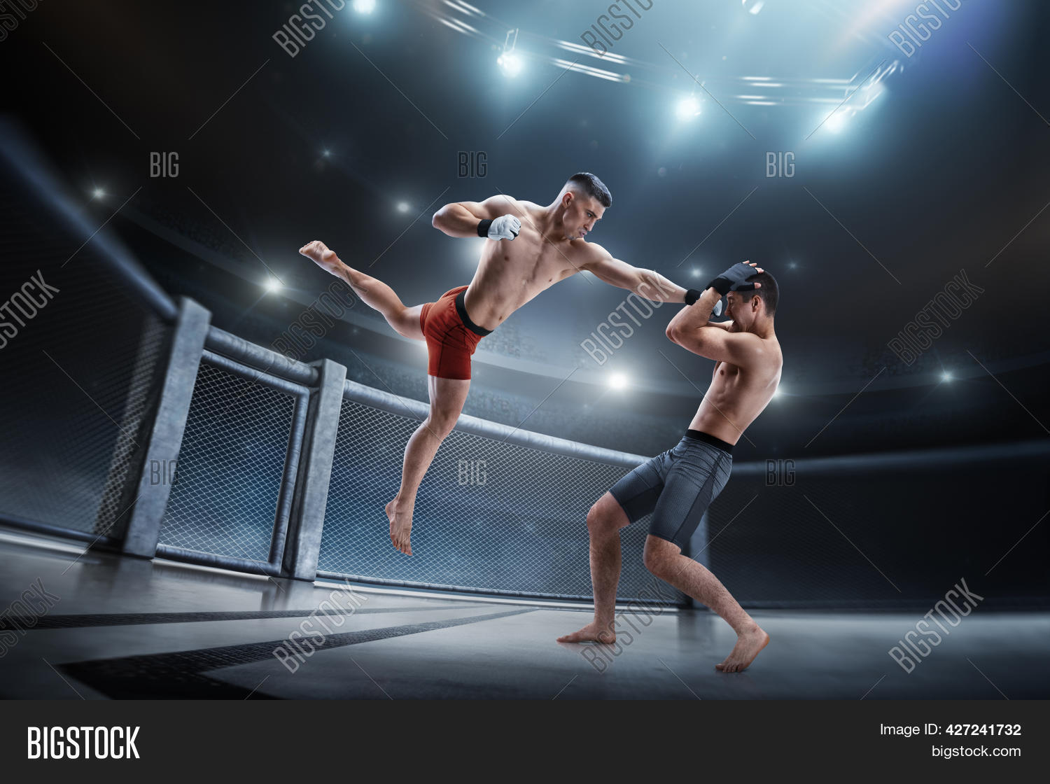 Punch Mma. Two Mma Image & Photo (Free Trial) | Bigstock
