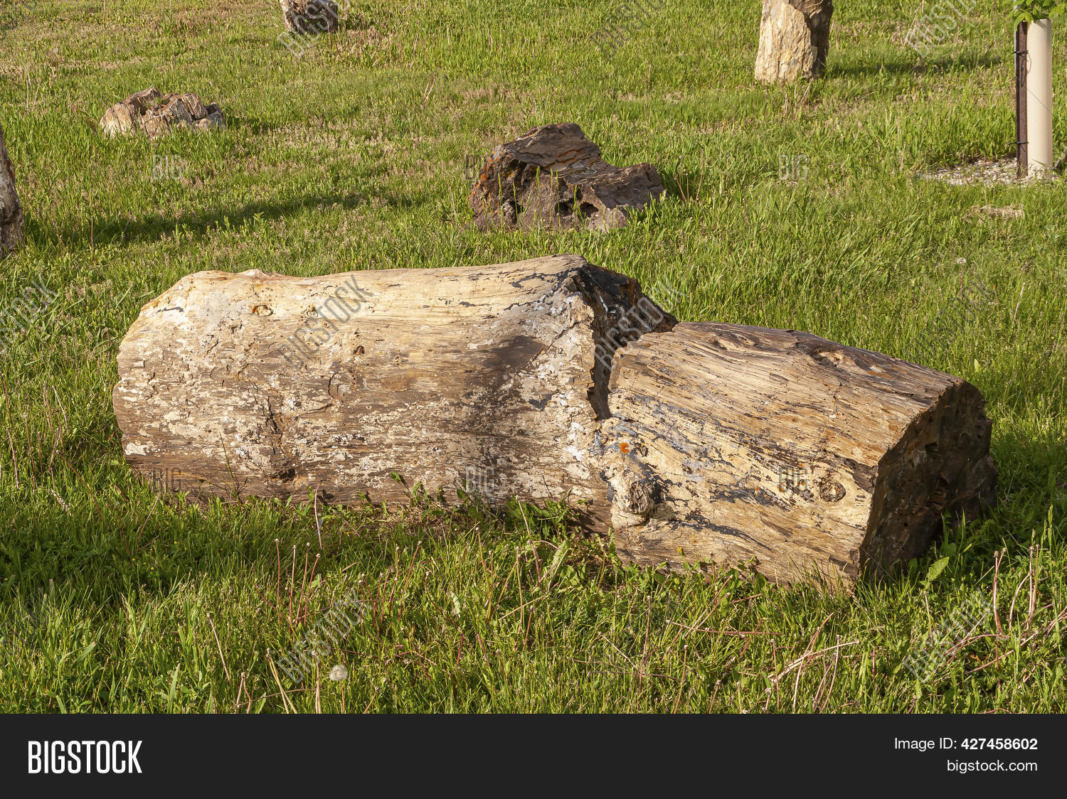 Badlands National Park Image & Photo (Free Trial) | Bigstock