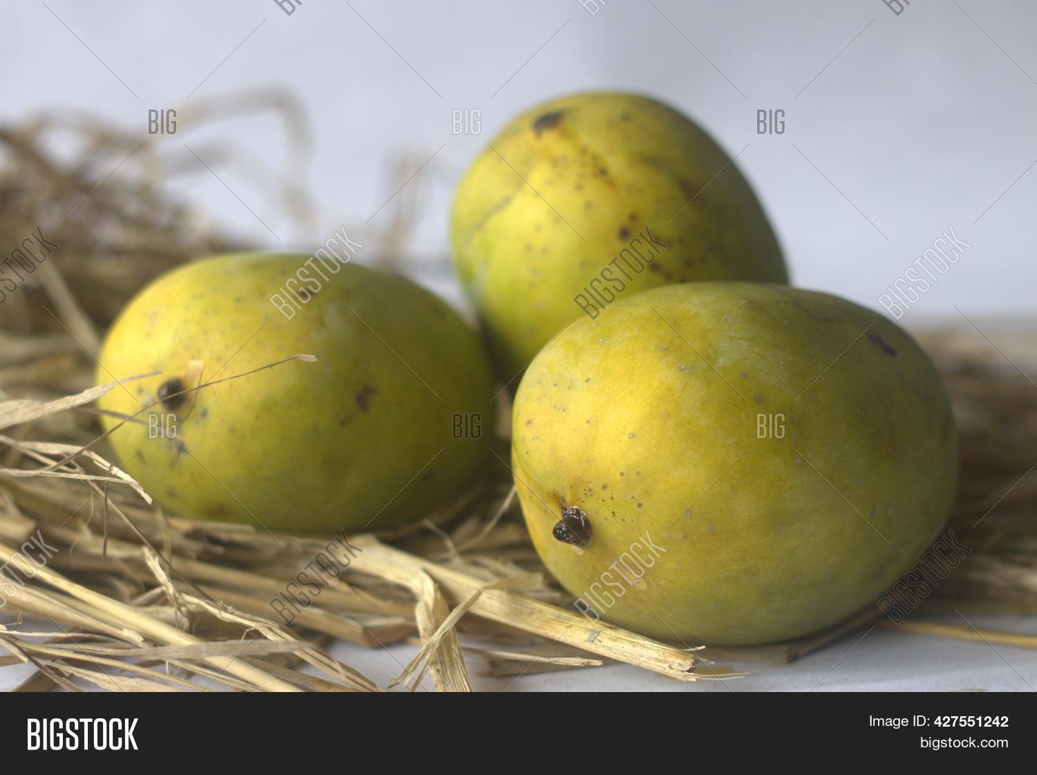 Moovandan Mango, Image & Photo (Free Trial) | Bigstock
