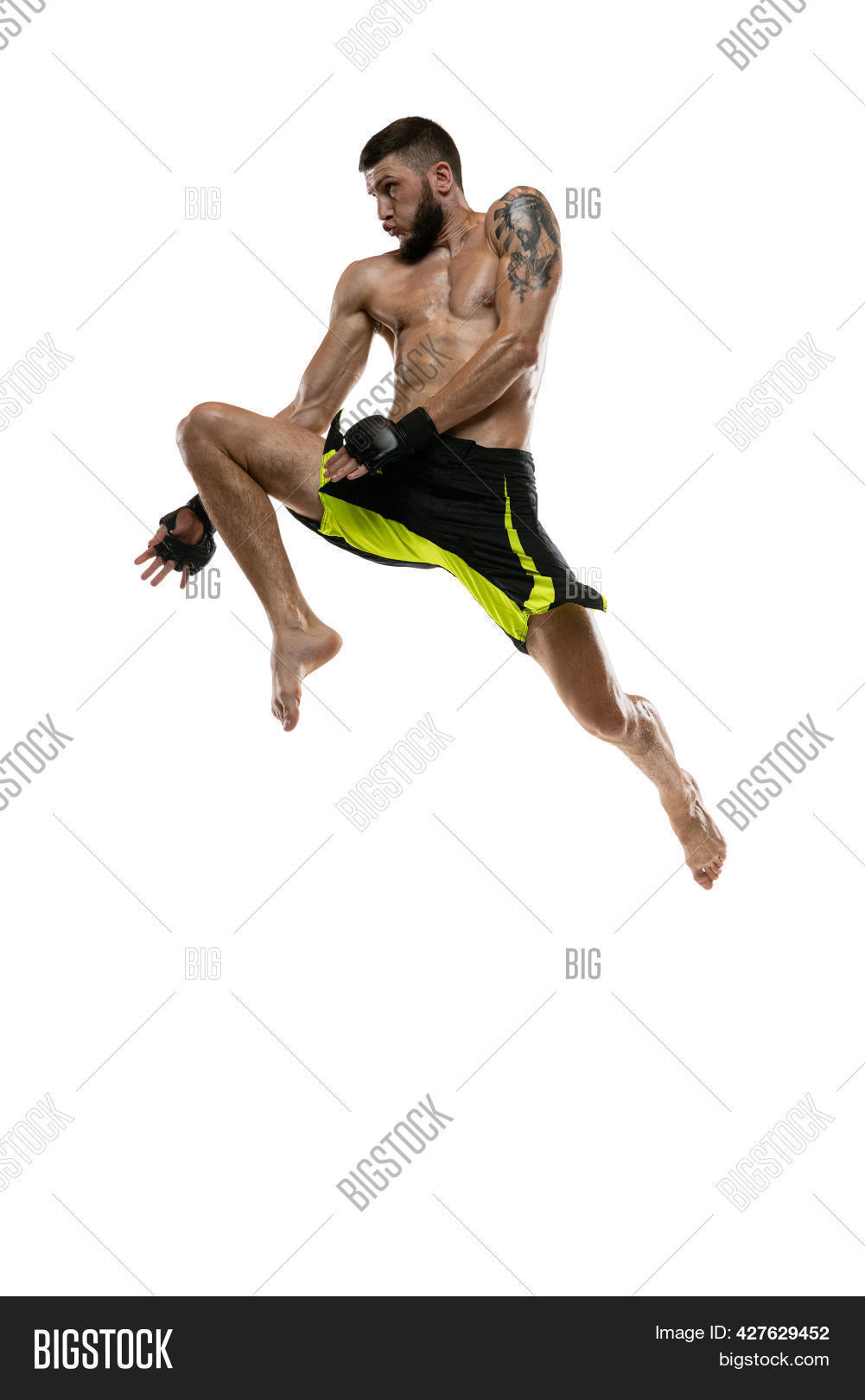 Professional Male Mma Image & Photo (Free Trial) | Bigstock