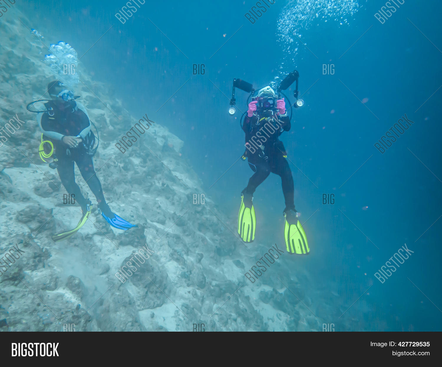 Divers Dive On Reefs Image & Photo (Free Trial) | Bigstock