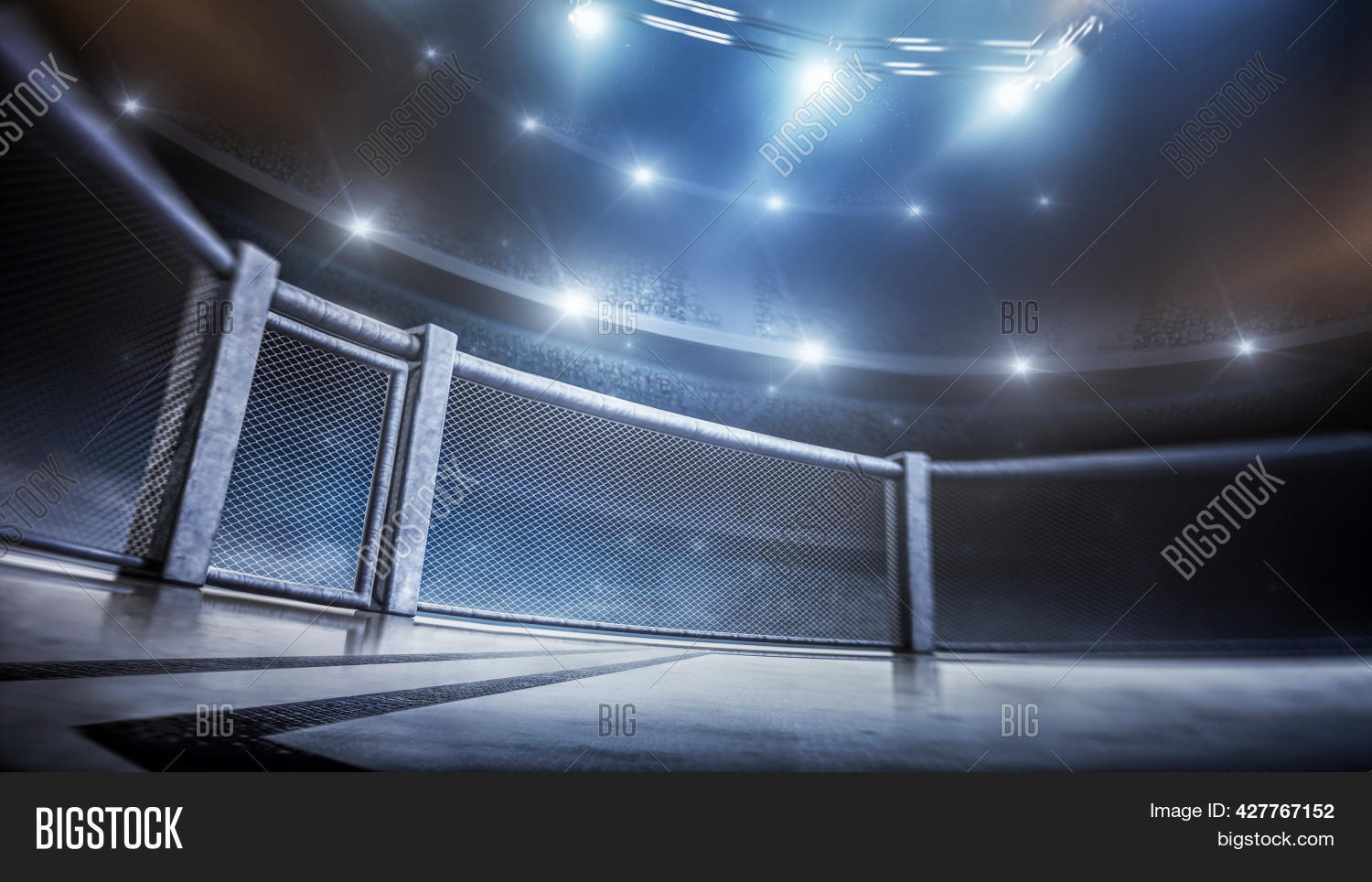 Mma Cage. Side Scene Image & Photo (Free Trial) | Bigstock