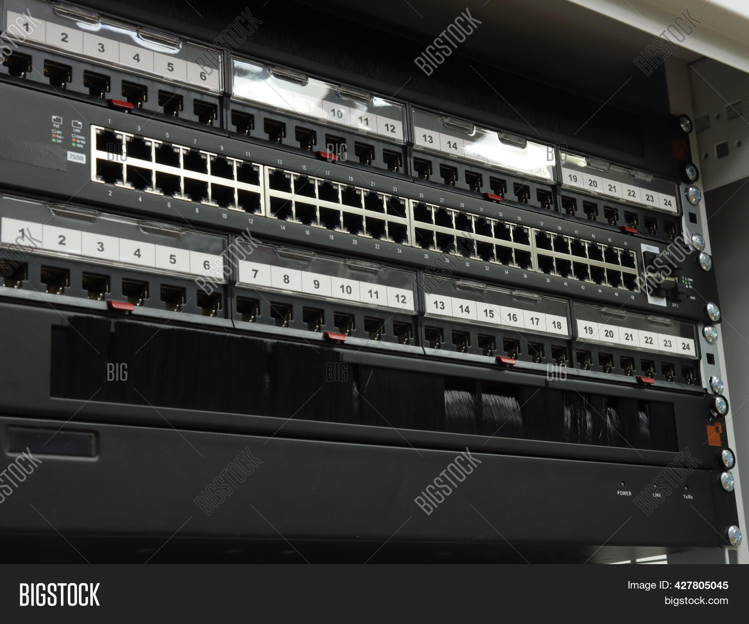 Ethernet Switch Patch Image & Photo (Free Trial) | Bigstock