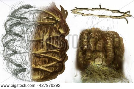 Digital Illustration Image & Photo (Free Trial) | Bigstock