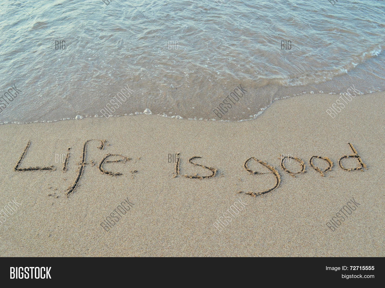 Life Image & Photo (Free Trial) | Bigstock