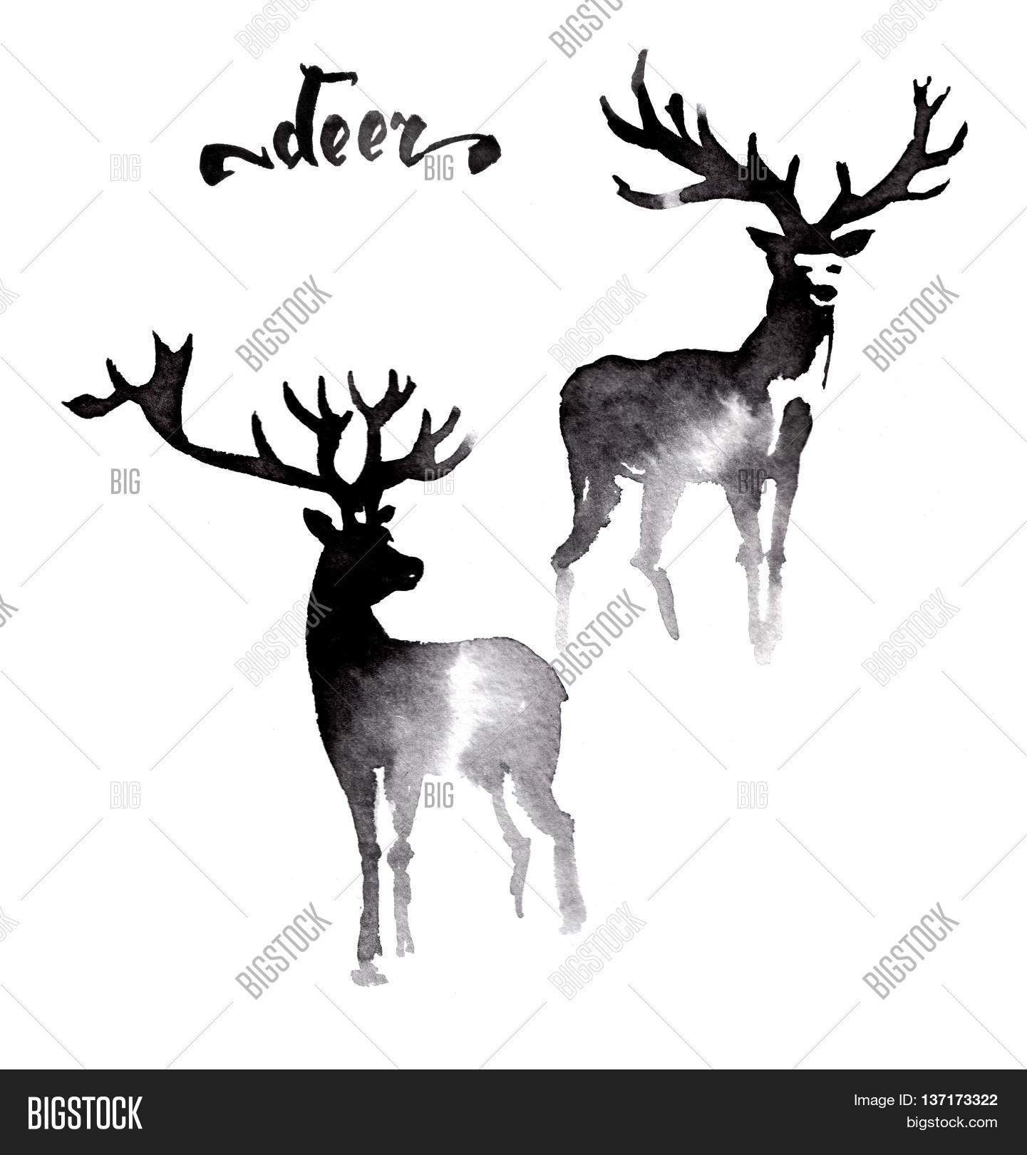 Deer Ink Watercolor Image & Photo (Free Trial) | Bigstock