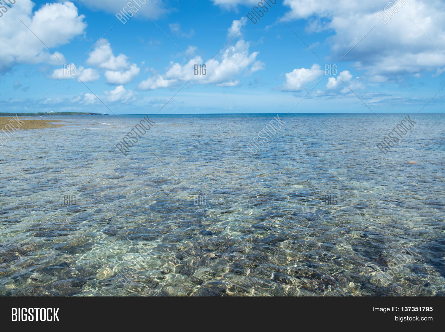 Coral Reefs Okinawa. Image & Photo (Free Trial) | Bigstock
