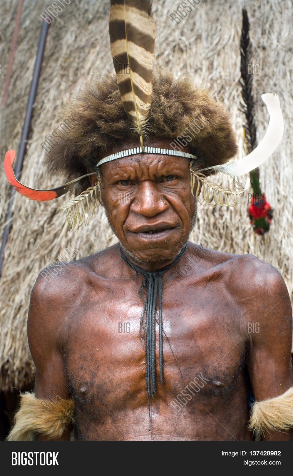 Warrior Papuan Tribe Image & Photo (Free Trial) | Bigstock