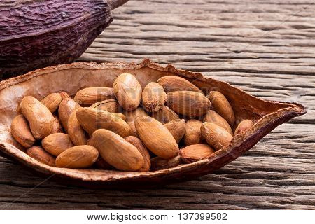 Collection Cacao Seeds Image & Photo (Free Trial) | Bigstock