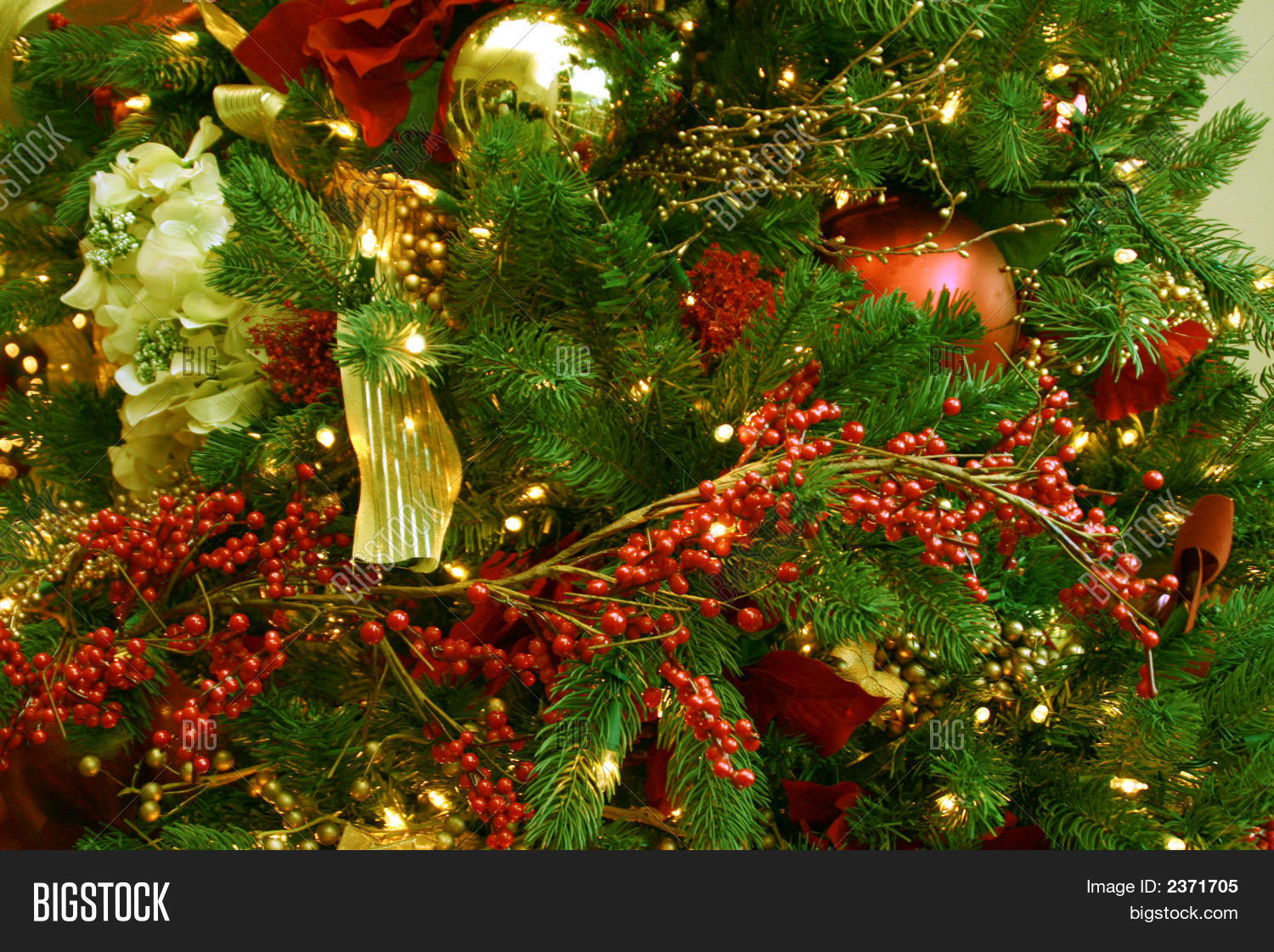 Details Christmas Tree Image & Photo (Free Trial) | Bigstock