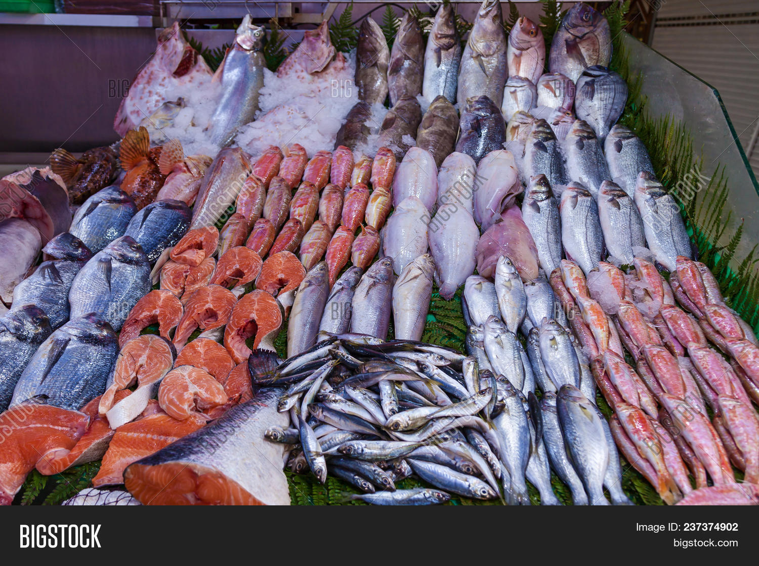 Closeup Assorted Image & Photo (Free Trial) | Bigstock