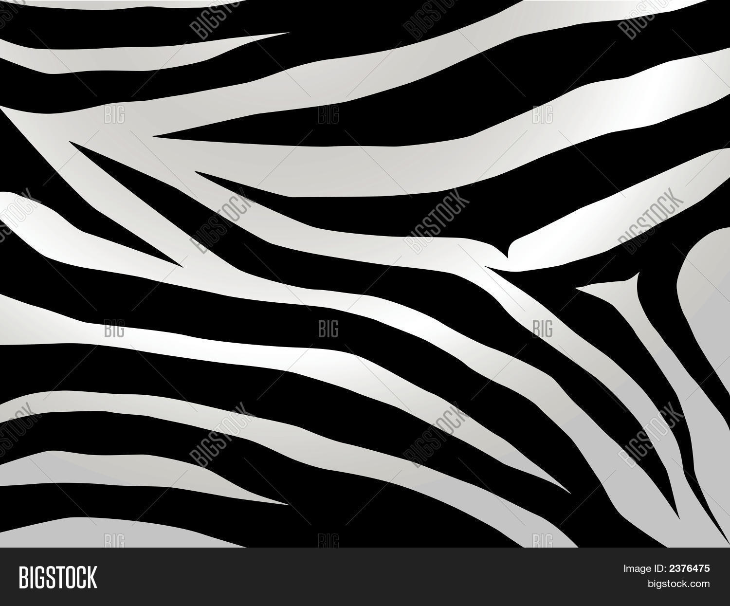 Zebra Design Vector & Photo (Free Trial) | Bigstock