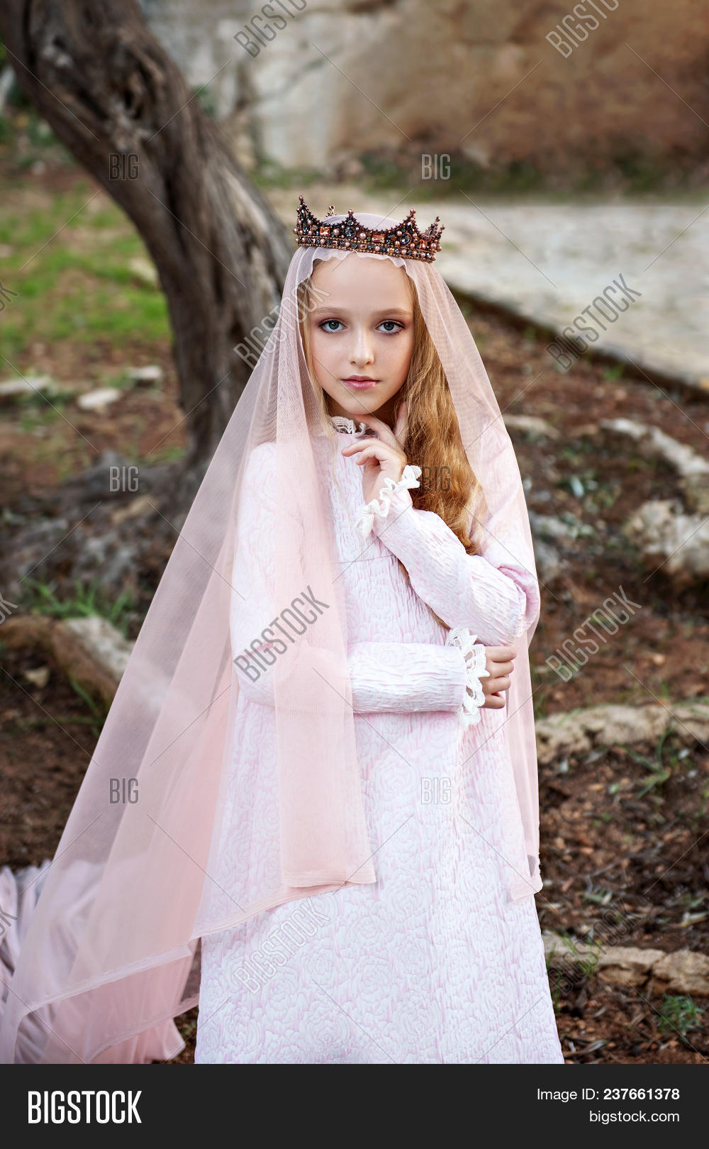 Dolly Princess Fairy Image & Photo (Free Trial) | Bigstock
