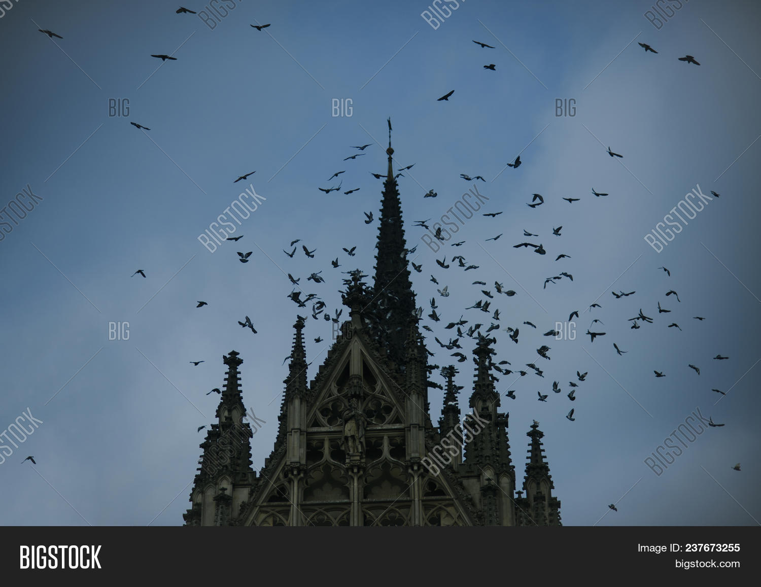 Birds Gothic Church. Image & Photo (Free Trial) | Bigstock