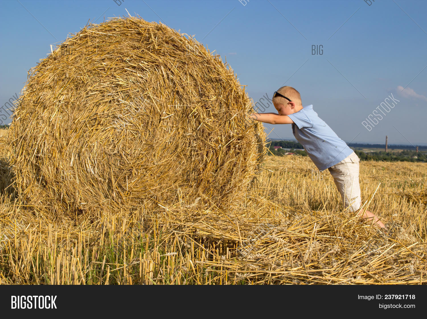 Field Hay. Rows Cut Image & Photo (Free Trial) | Bigstock