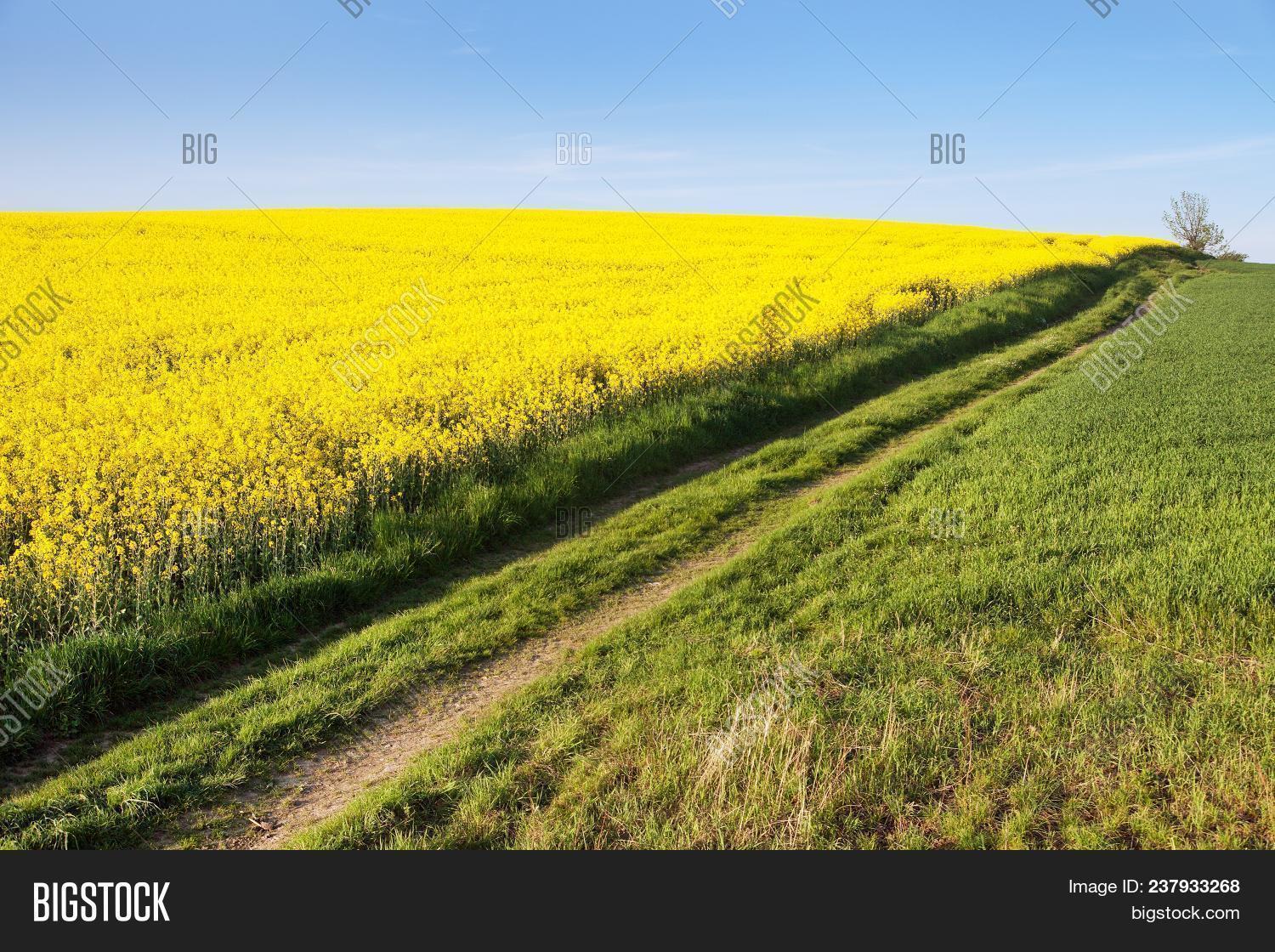 Springtime Landscape Image & Photo (Free Trial) | Bigstock