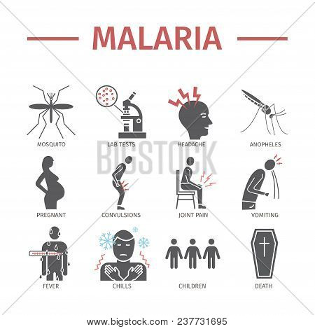Malaria Icon Image & Photo (Free Trial) | Bigstock