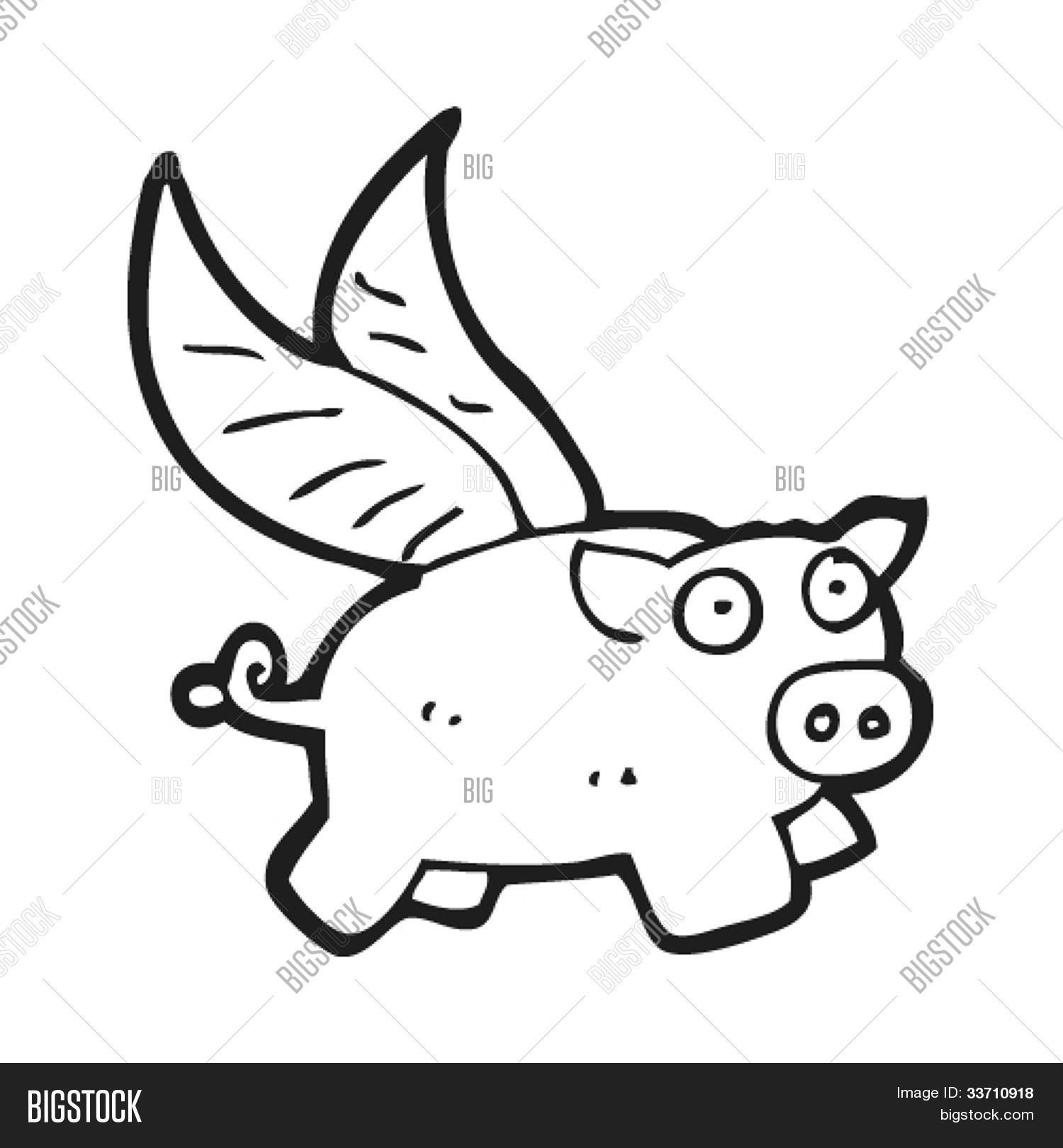 Flying Pig Drawing Easy