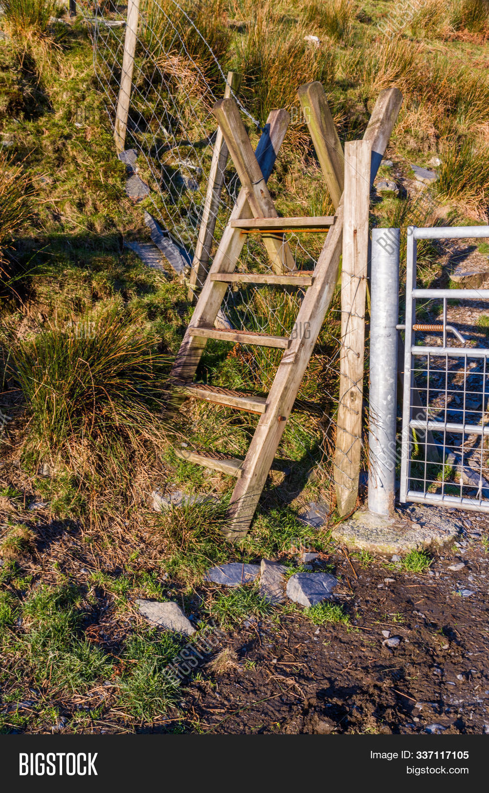 Ladder Stile By Gate Image & Photo (Free Trial) | Bigstock