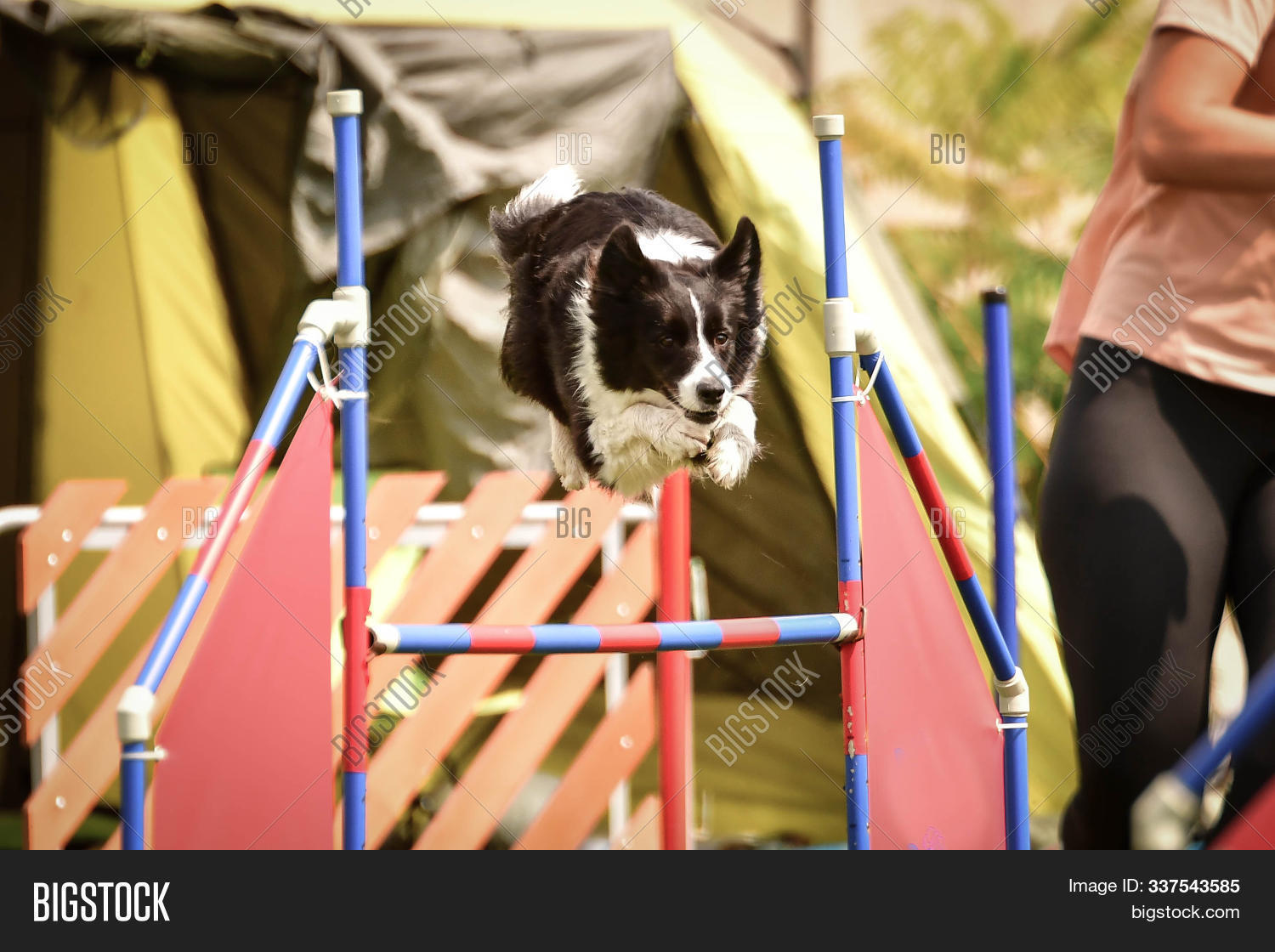 Agility Slalom Border Image & Photo (Free Trial) | Bigstock