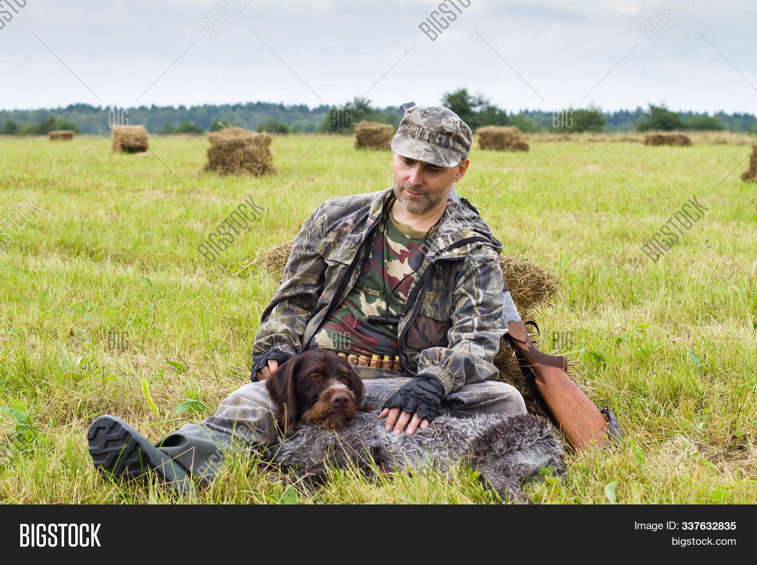Hunting Dog Resting Image & Photo (Free Trial) | Bigstock