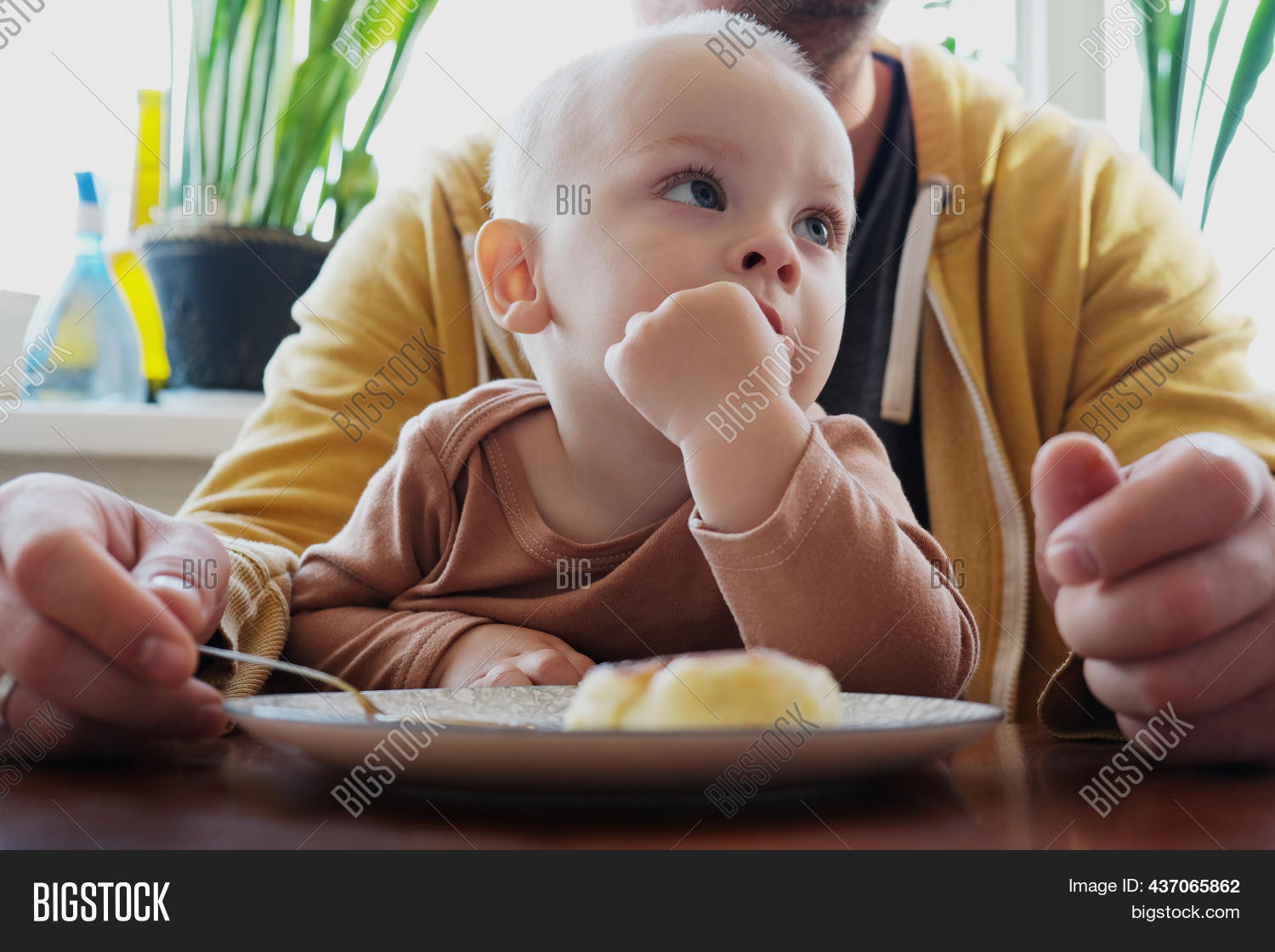 Young Father Feeds Image & Photo (Free Trial) | Bigstock