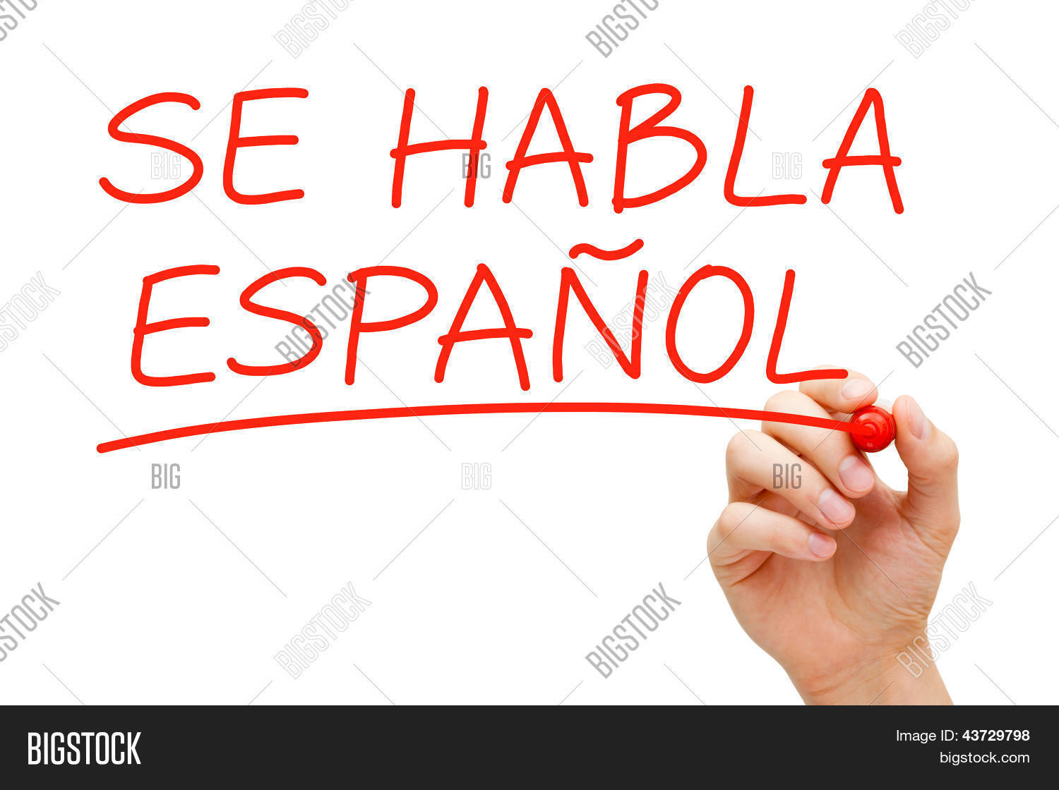 Se Habla Espanol Image & Photo (Free Trial) | Bigstock