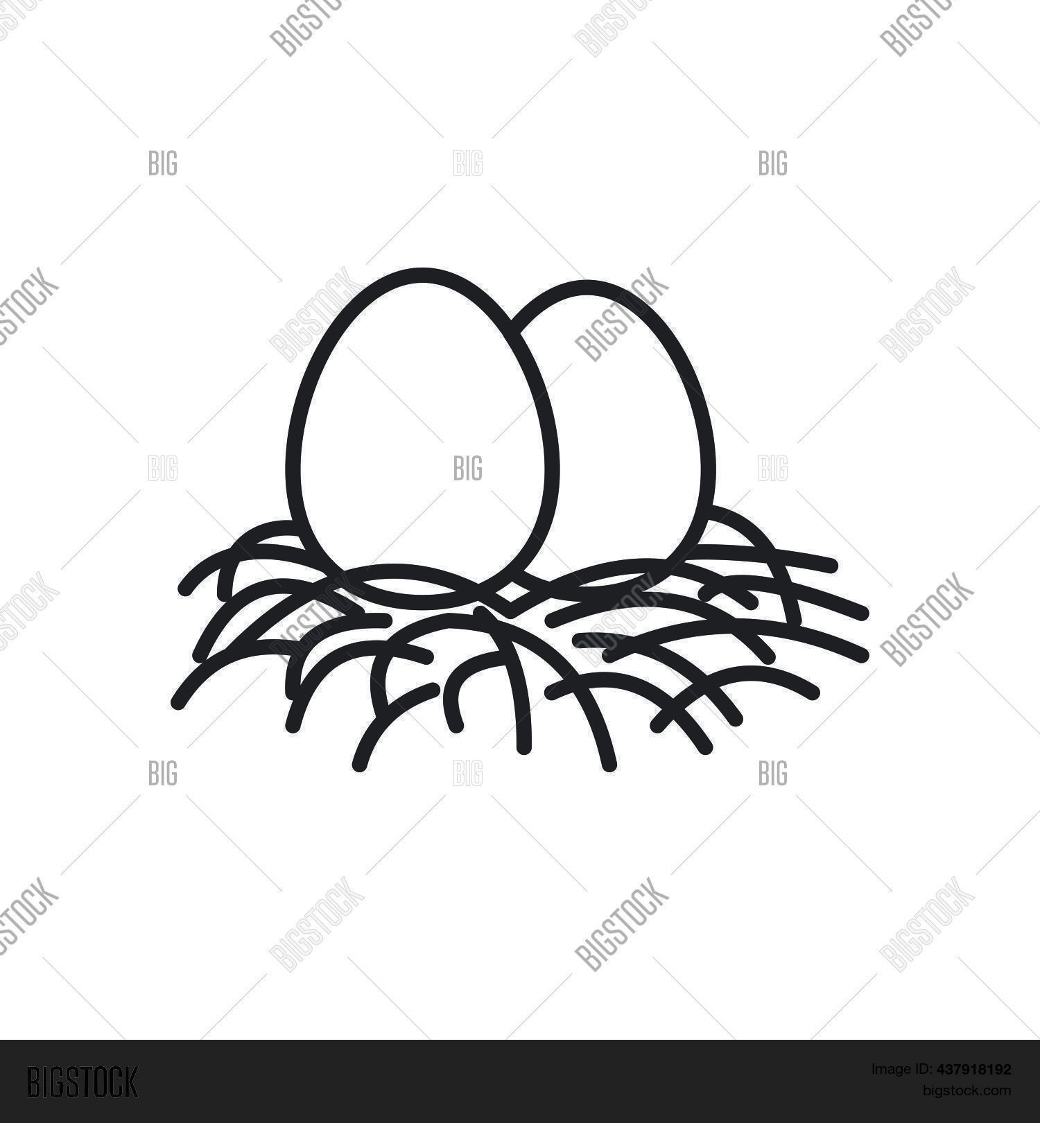 Nest Egg Icon Vector & Photo (Free Trial) | Bigstock