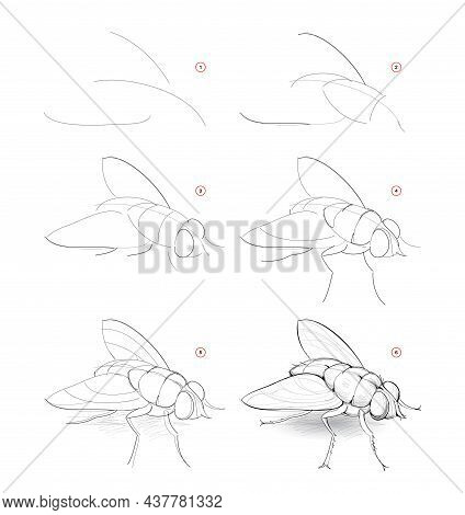 How Draw Sketch Fly. Vector & Photo (Free Trial) | Bigstock