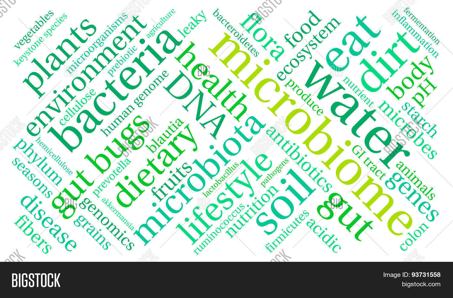 Microbiome Word Cloud Image & Photo (Free Trial) | Bigstock