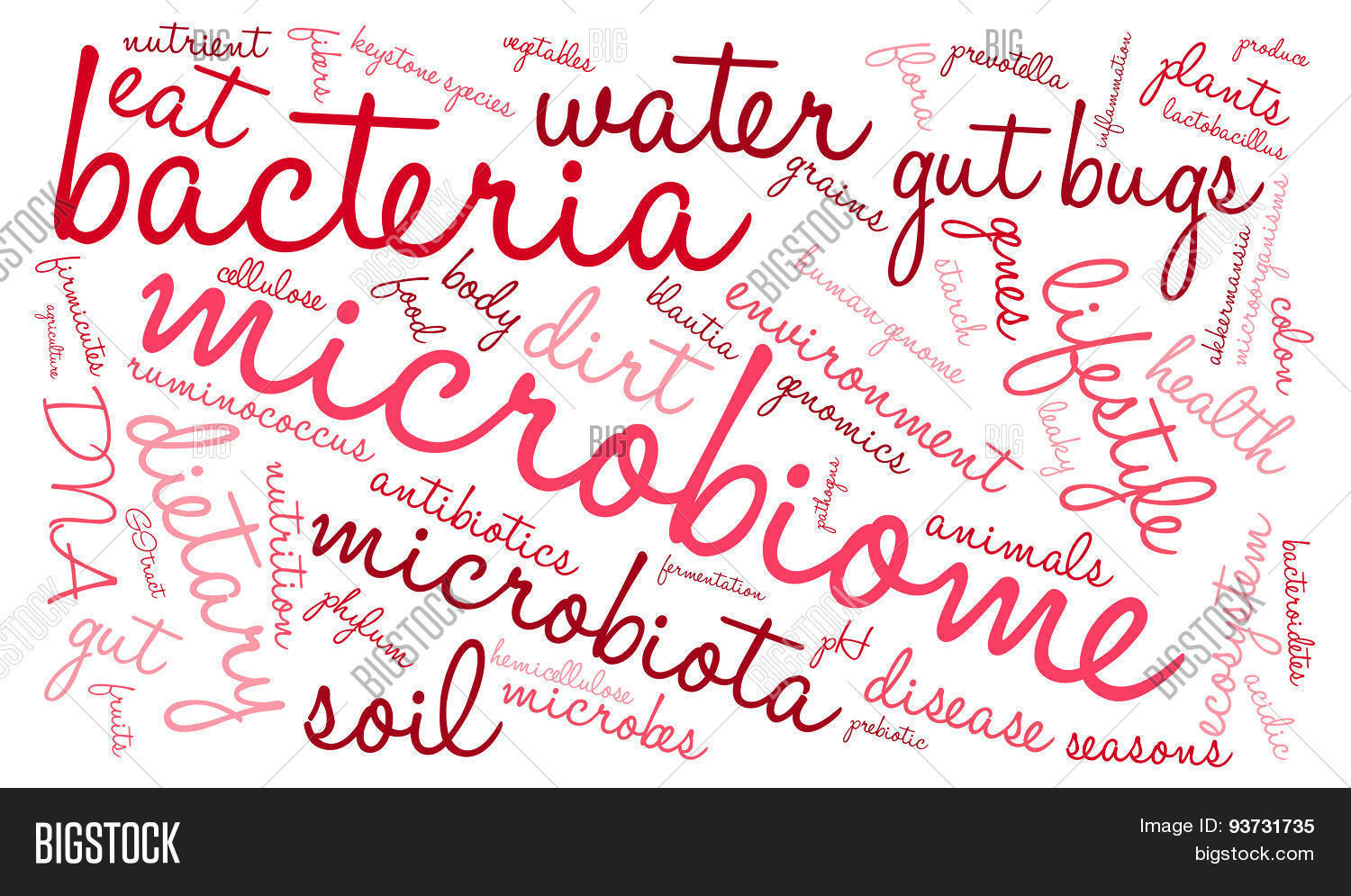 Microbiome Word Cloud Image & Photo (Free Trial) | Bigstock