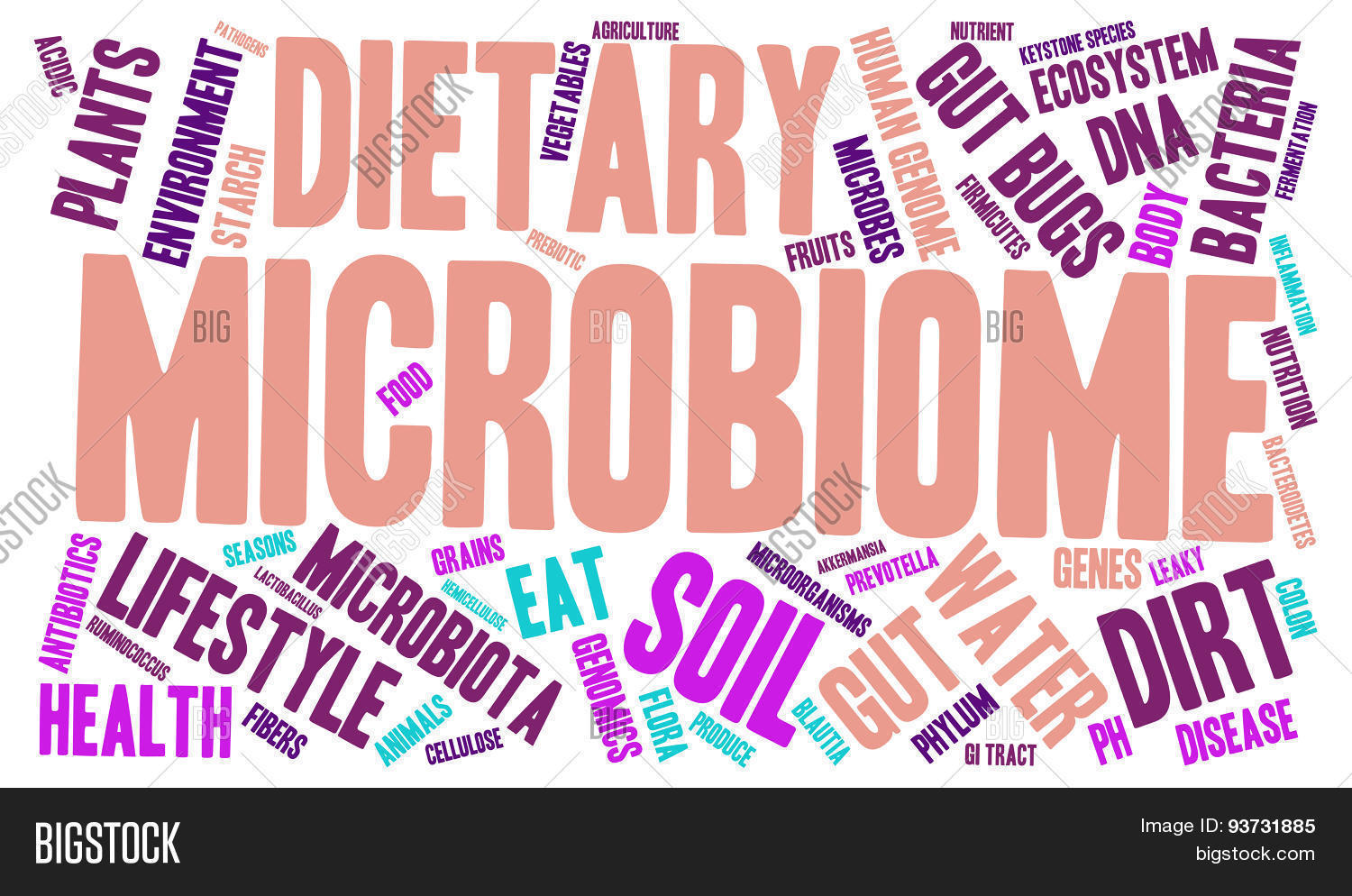 Microbiome Word Cloud Image & Photo (Free Trial) | Bigstock