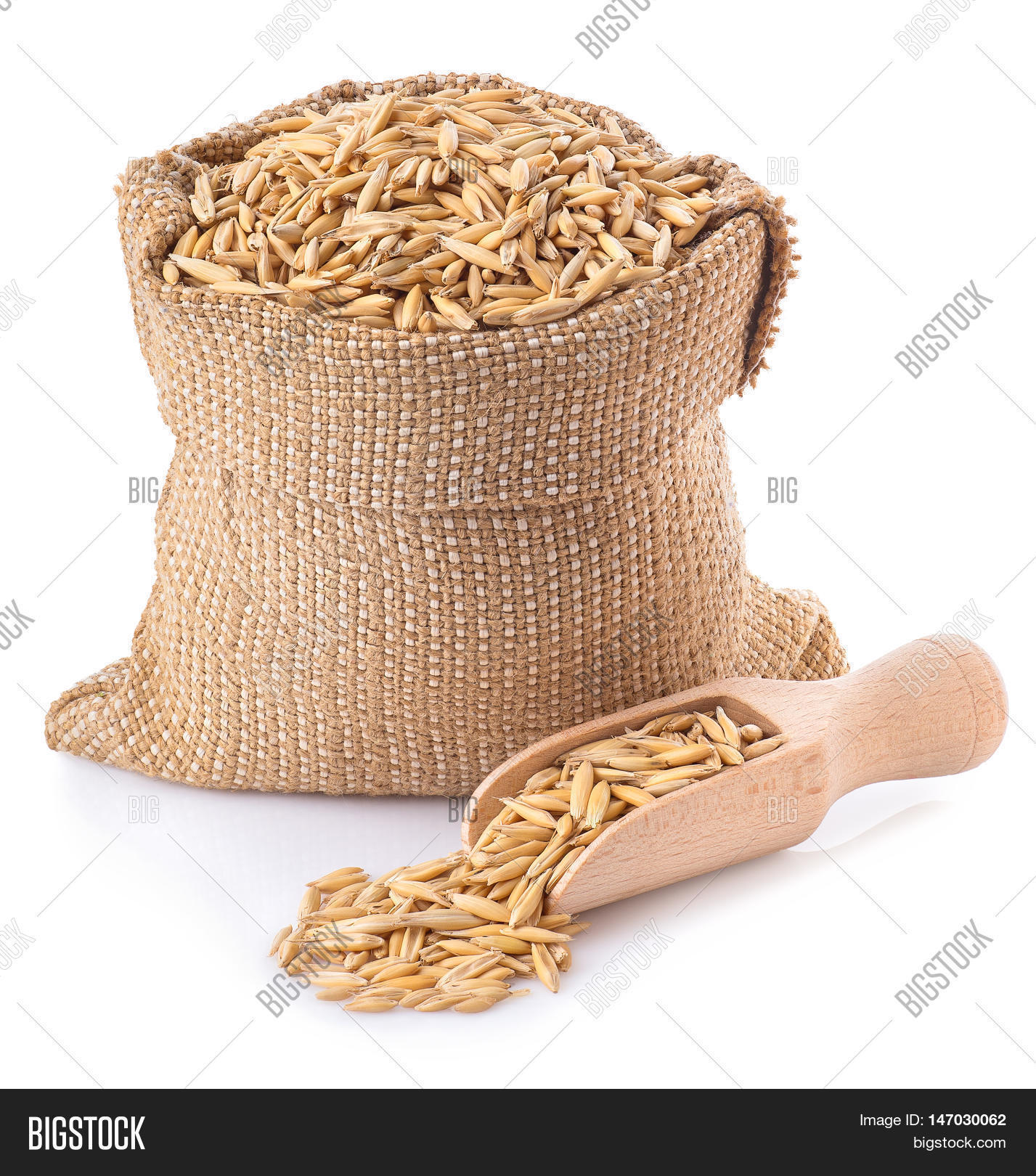 Oat Grains Husk Burlap Image & Photo (Free Trial) | Bigstock