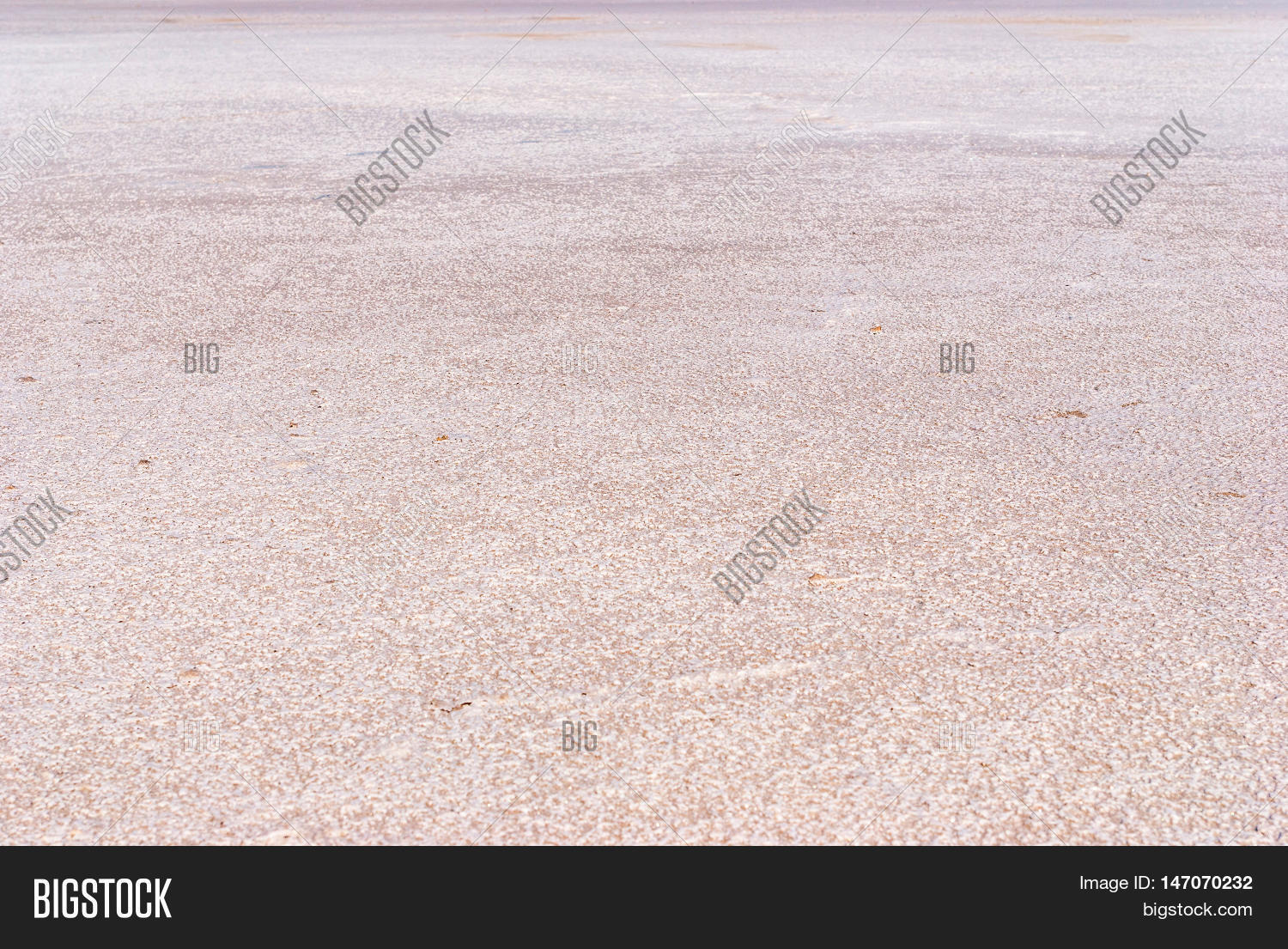 Dry Salt Lake Bottom Image & Photo (Free Trial) | Bigstock