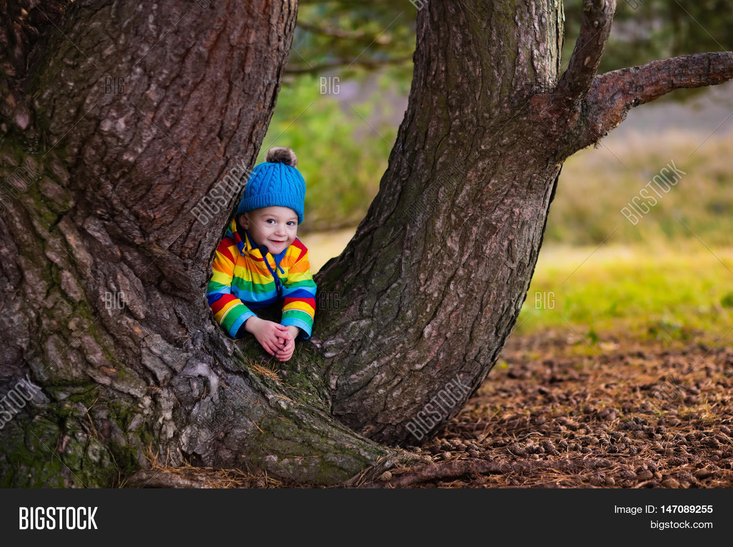 Little Boy Hiding Image & Photo (Free Trial) | Bigstock