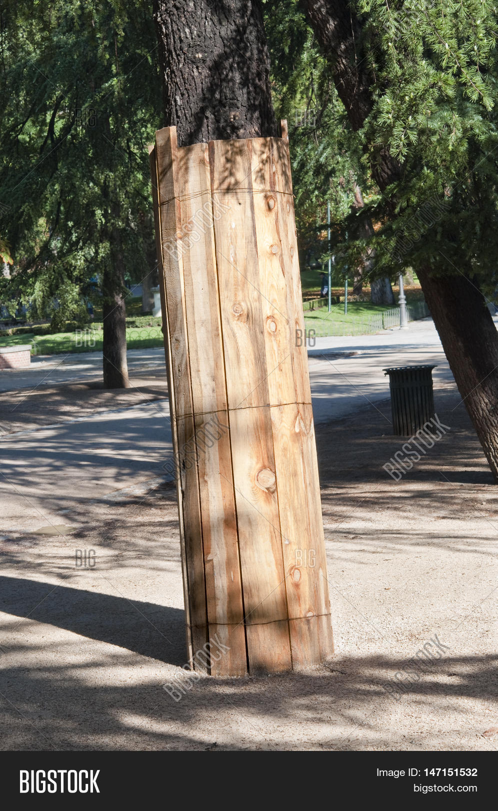 Tree Trunk Protection Image & Photo (Free Trial) | Bigstock