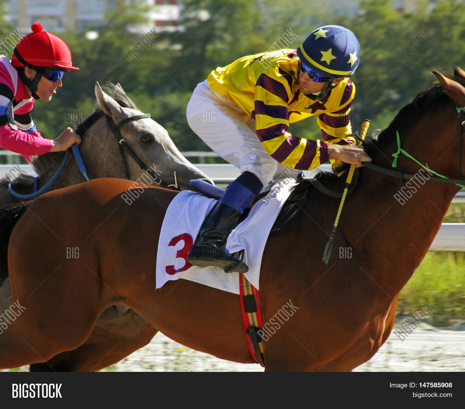 Jockeys Riding Horse Image & Photo (Free Trial) | Bigstock