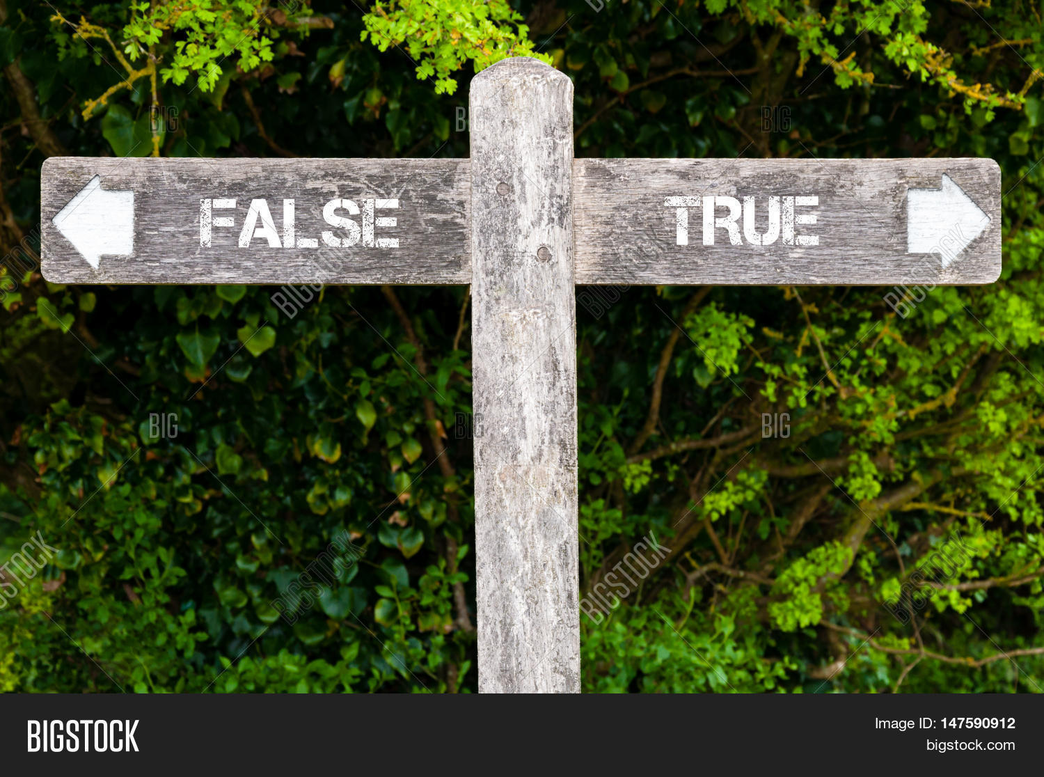 False Versus True Image & Photo (Free Trial) | Bigstock