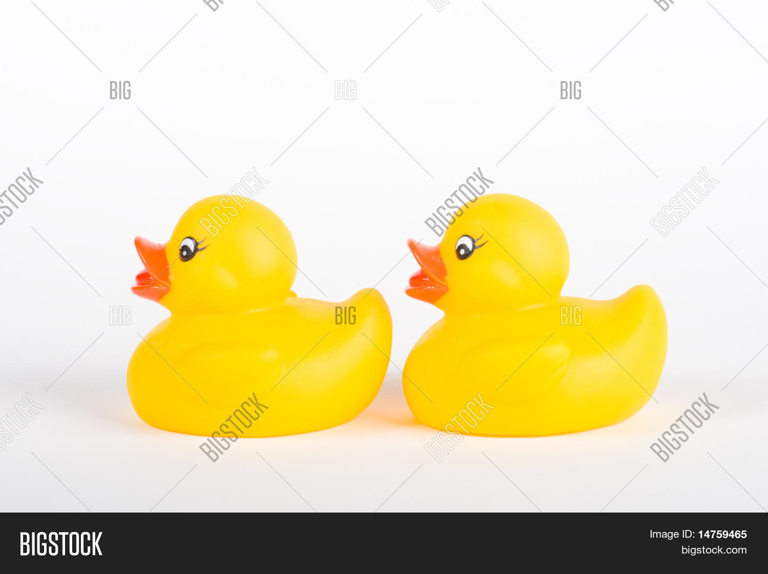 Squeak Toy Rubber Duck Image & Photo (Free Trial) | Bigstock