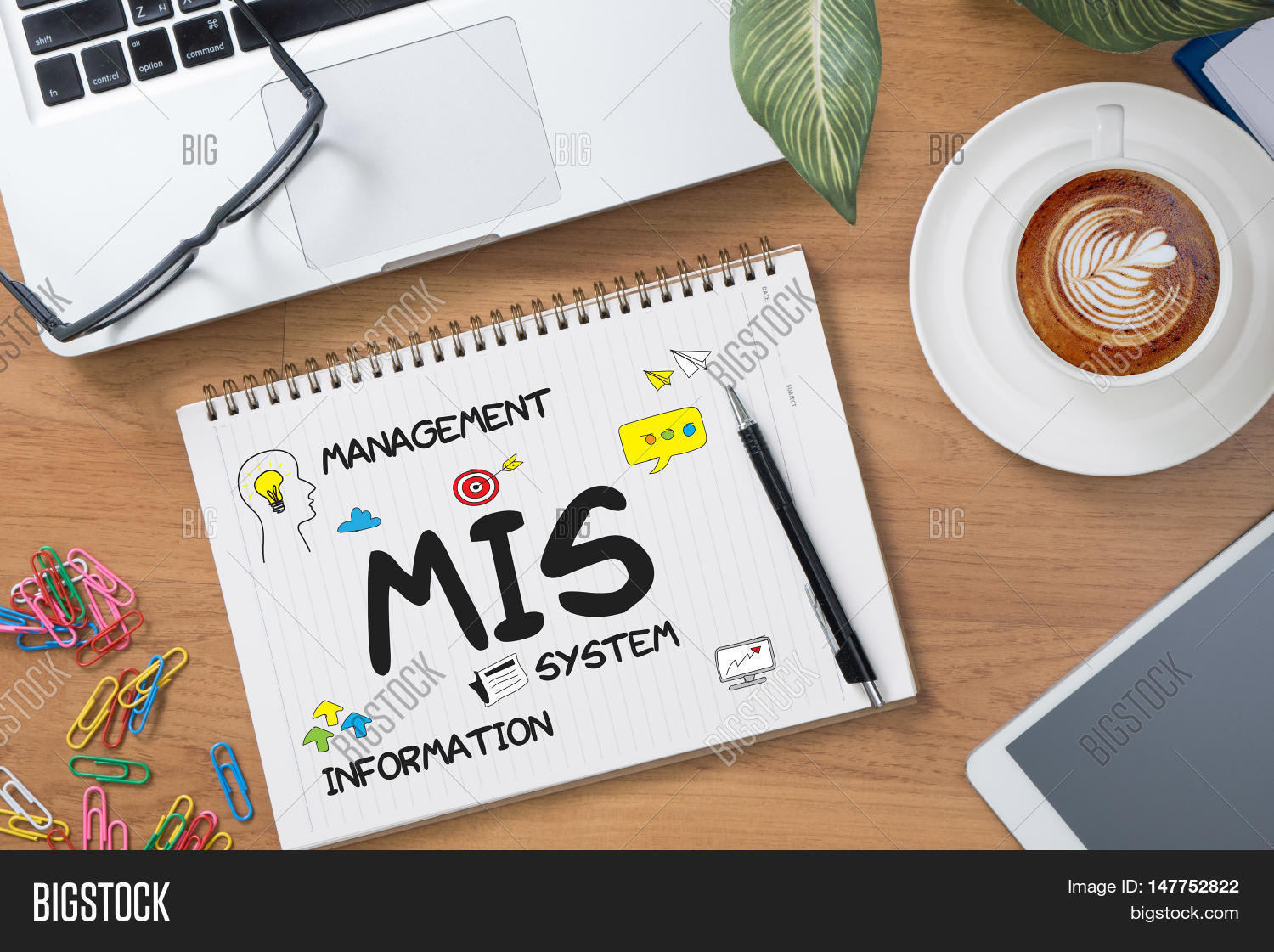 Mis Management Image & Photo (Free Trial) | Bigstock